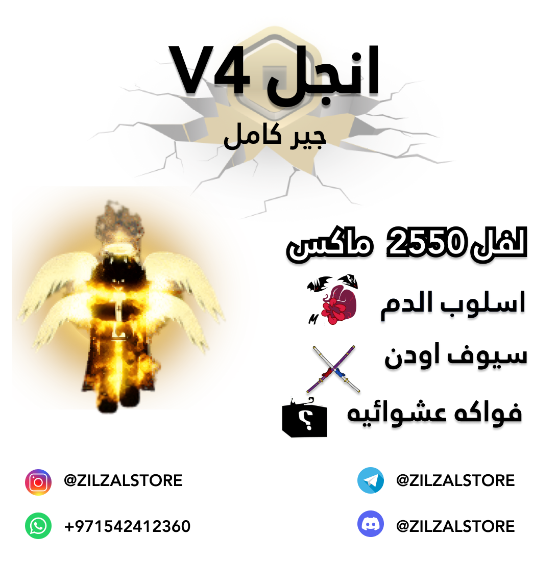 v4 حسابات– ZilZalstore